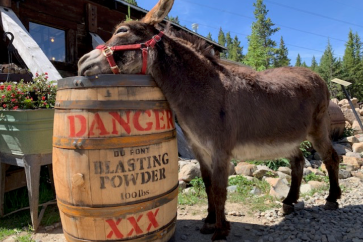 Gold Mine Tours Breckenridge, Colorado | Country Boy Mine
